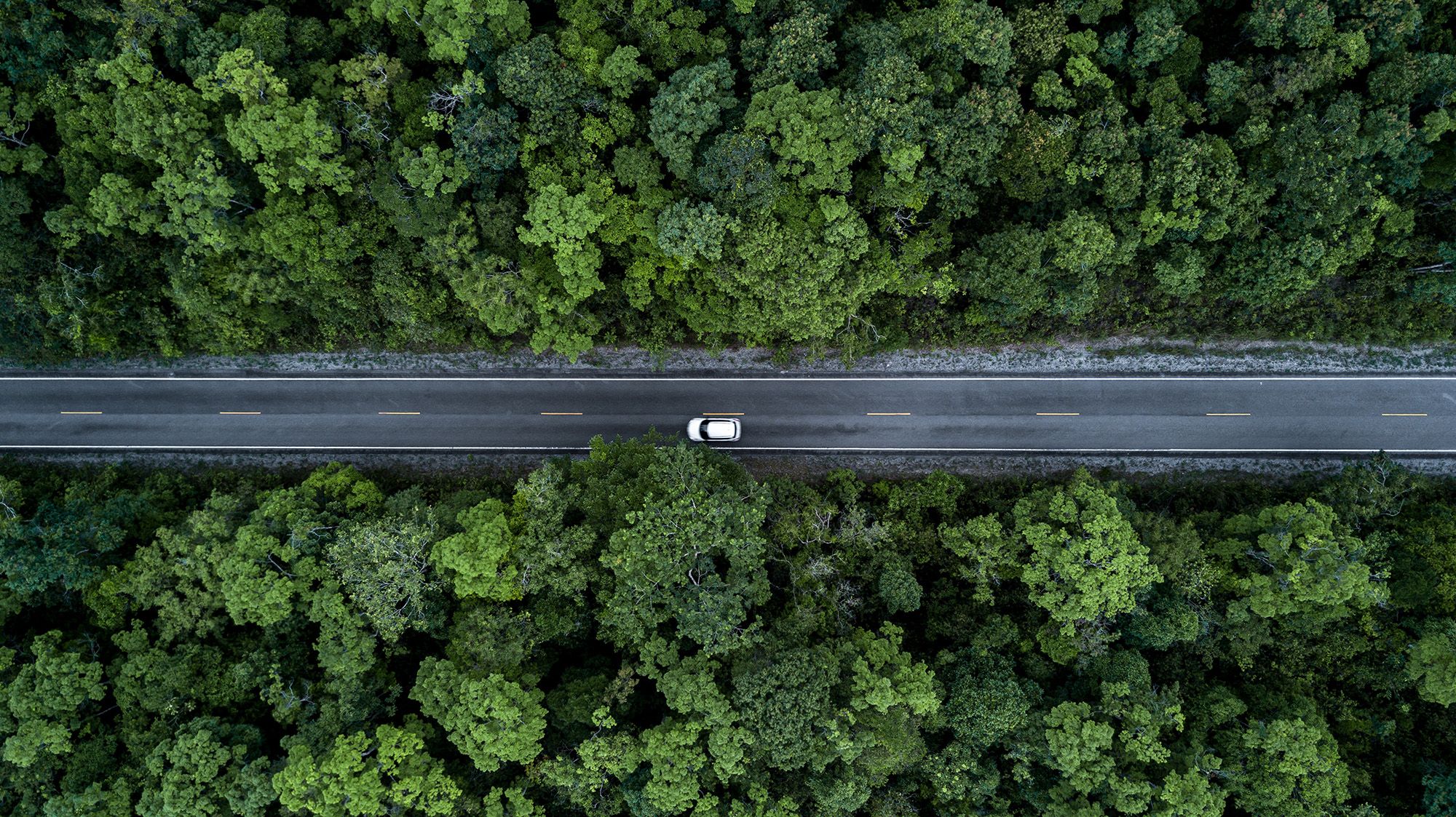 WLTP For Electric Cars wltp-for-electric-cars
